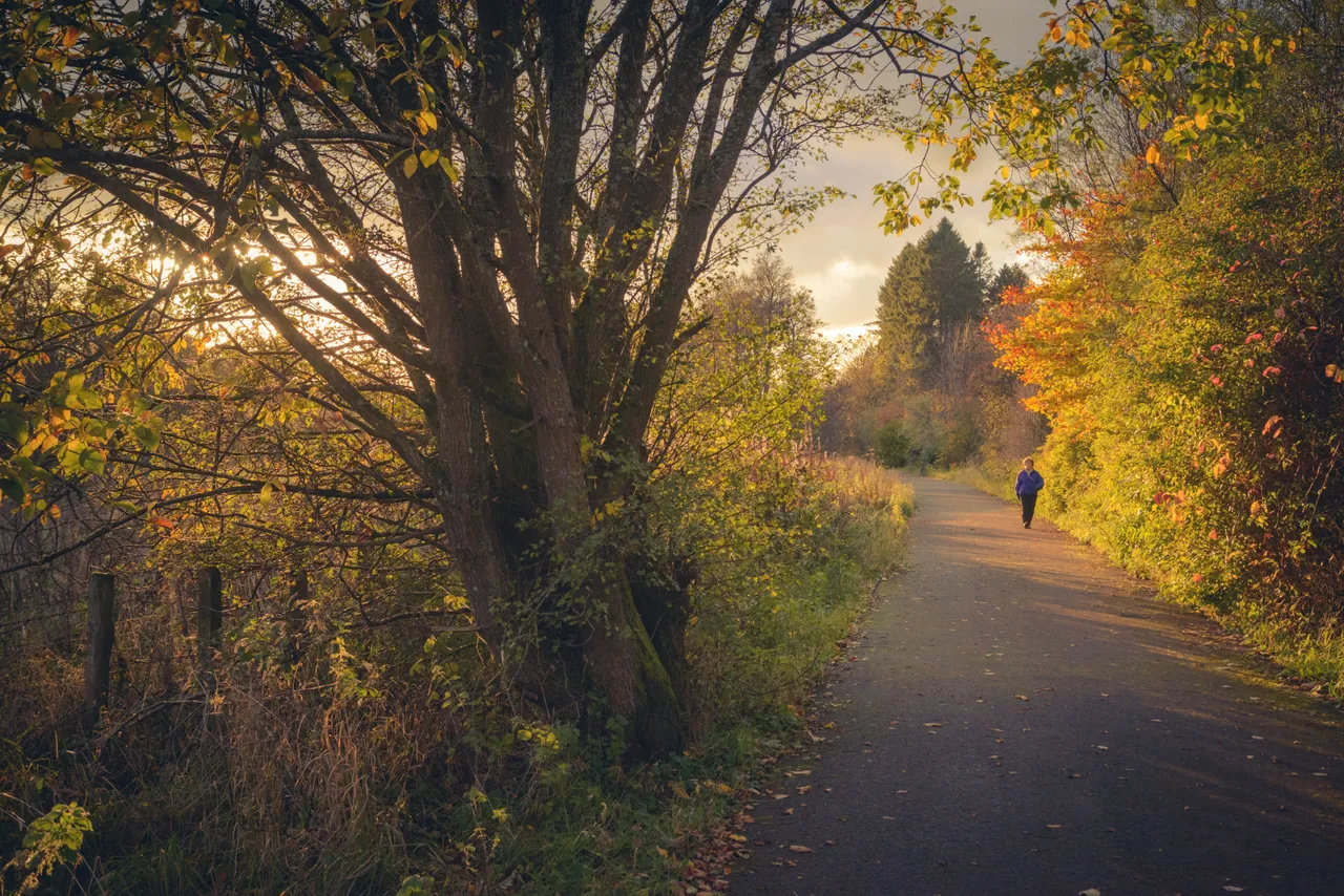VisitScotland Media Toolkit - Devon Way