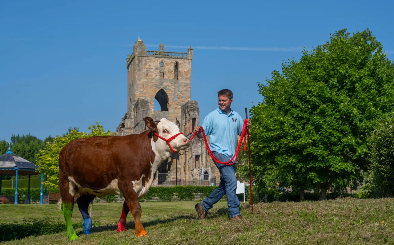 VisitScotland Media Toolkit - Go Rural Map of Scotland launches in ...
