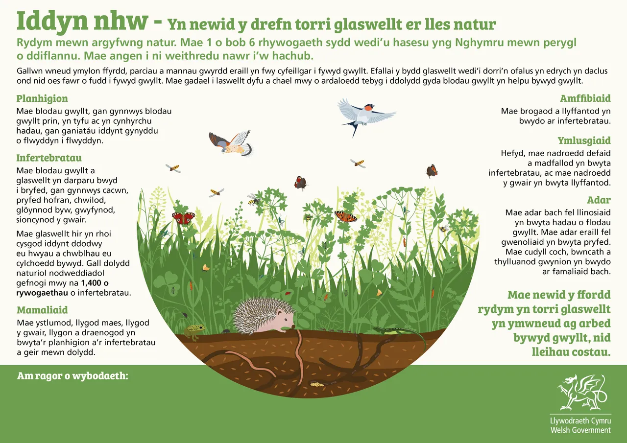 Welsh Government Communications Services Digital Toolkit - 44340 It_s ...
