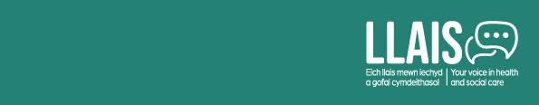Welsh Government Communications Services Digital Toolkit - 46137_LLAIS ...