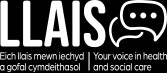 Welsh Government Communications Services Digital Toolkit - Llais logo white