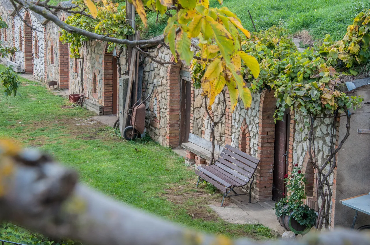Czechia Digital Media Library - Vinné sklepy Wine Cellars Vrbice