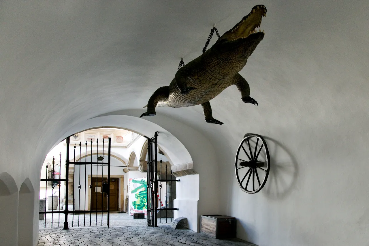 Czechia Digital Media Library - Brno