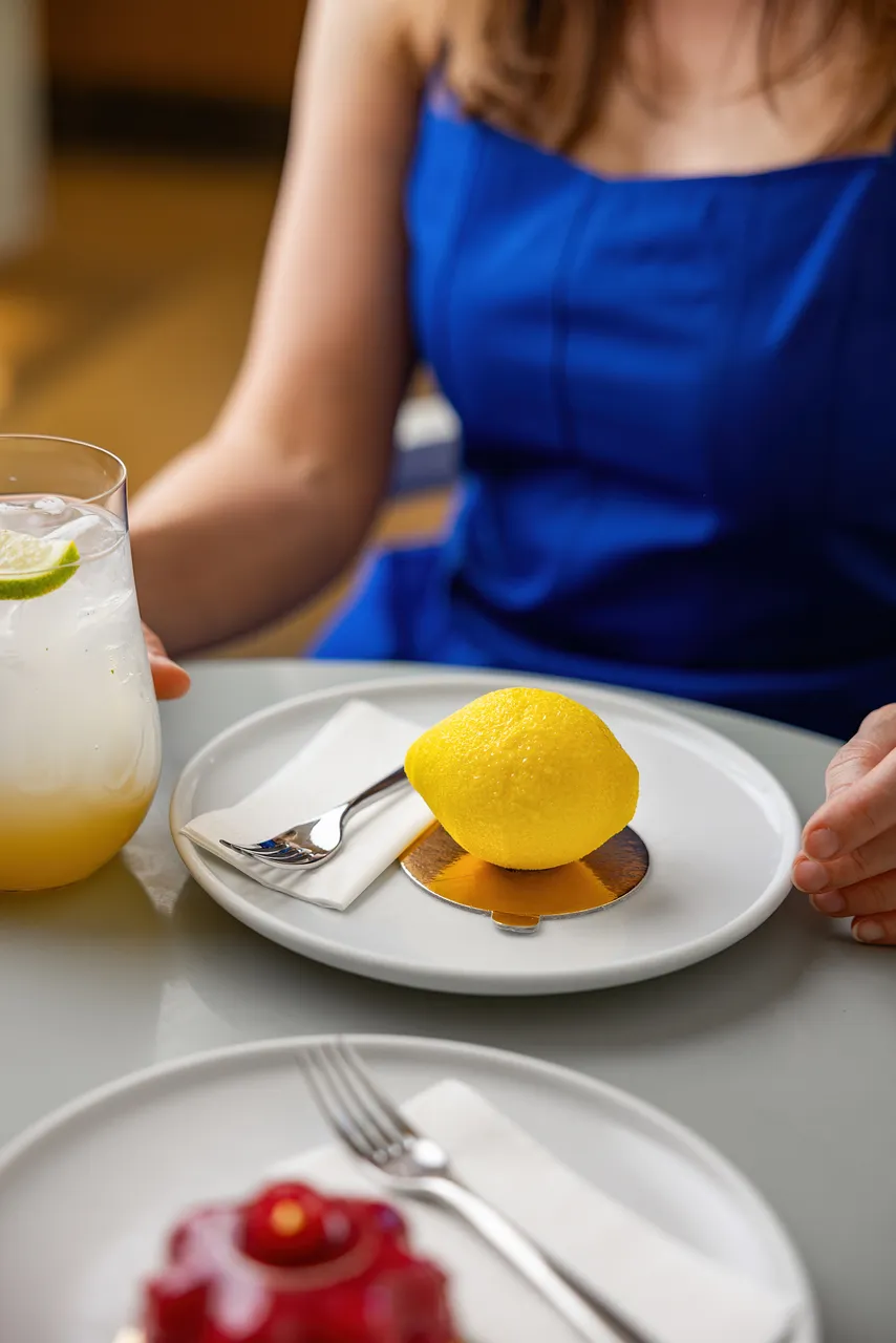 Czechia Digital Media Library - Zákusek