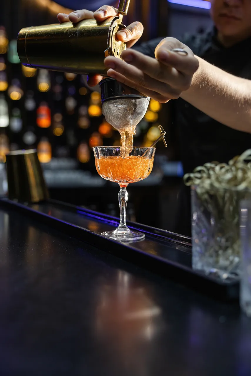 Czechia Digital Media Library - Koktejl