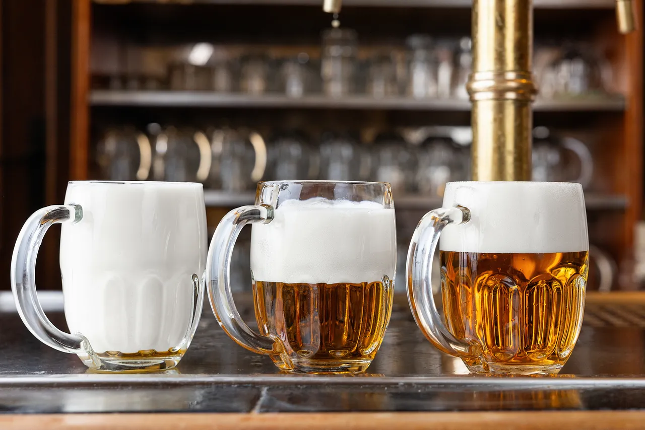 Czechia Digital Media Library - Pivo (mlíko, šnyt, hladinka)